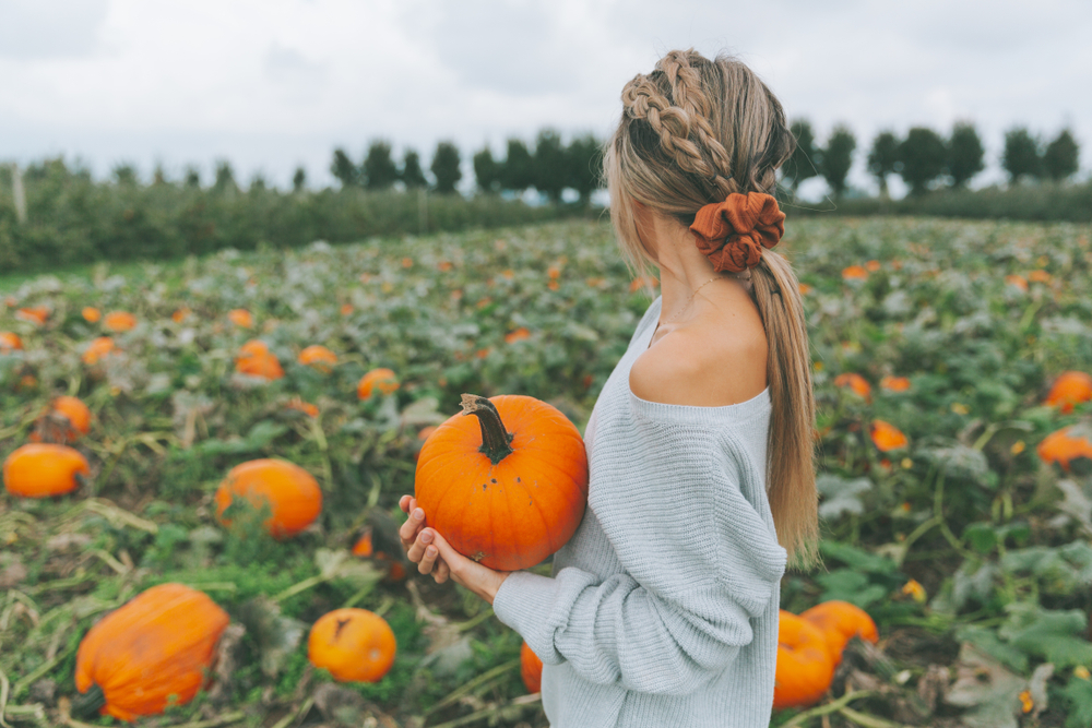 2019 Fall Bucket List: 15 Fun Things To Do In Autumn! (+Checklist)
