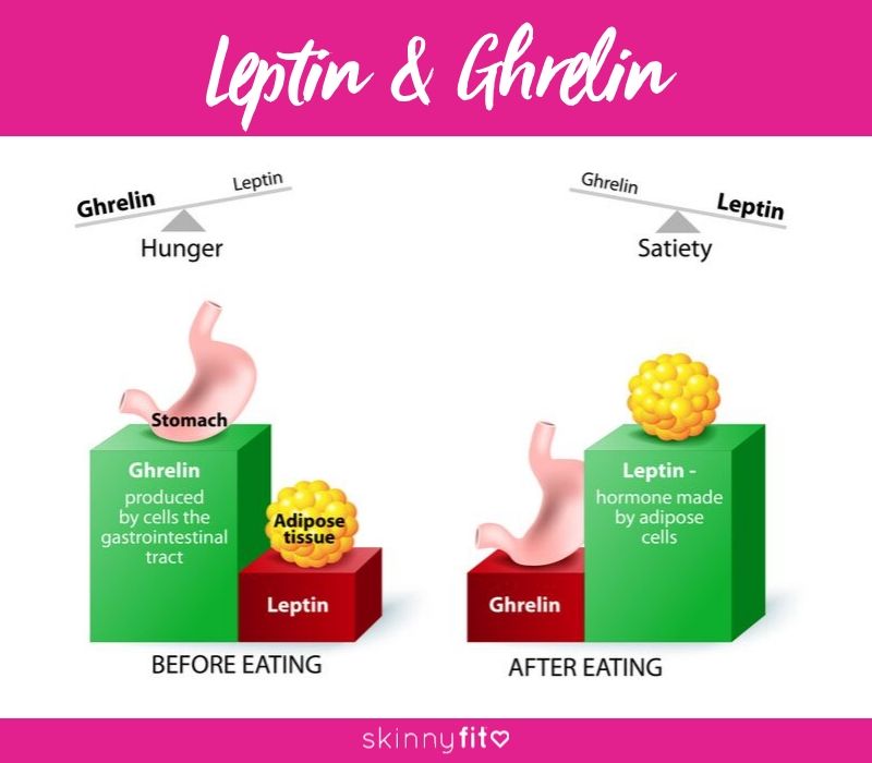 What Causes Hunger? How To Control The Hunger Hormones & Lose Weight