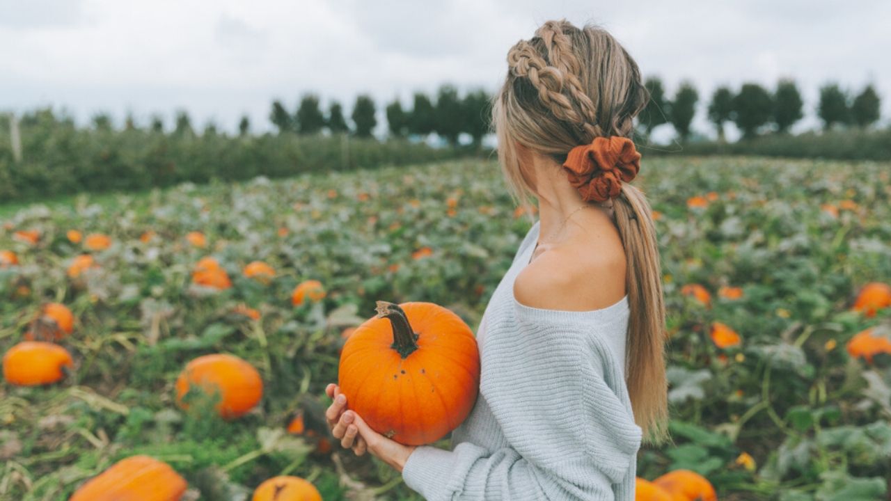 2019 Fall Bucket List: 15 Fun Things To Do In Autumn! (+Checklist)